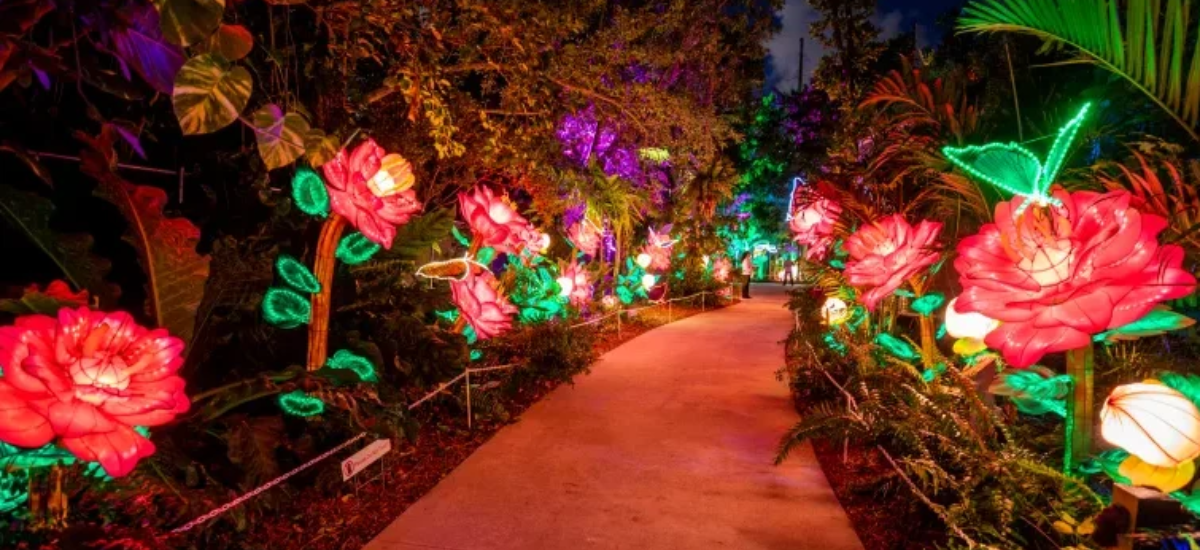 A Festival of Lights | Fair Park