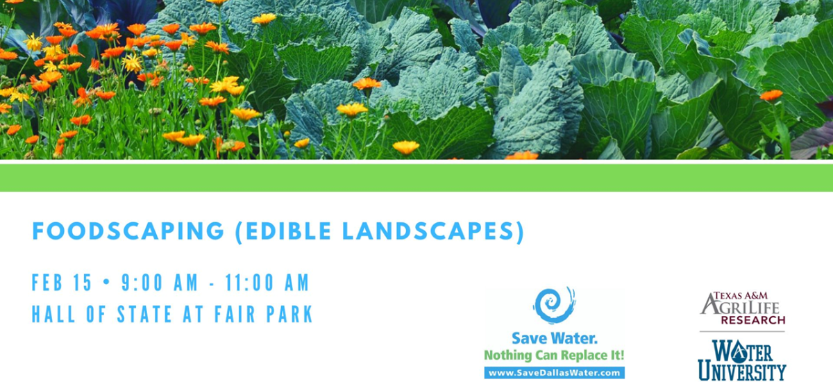 Foodscaping - Edible Landscapes | Fair Park